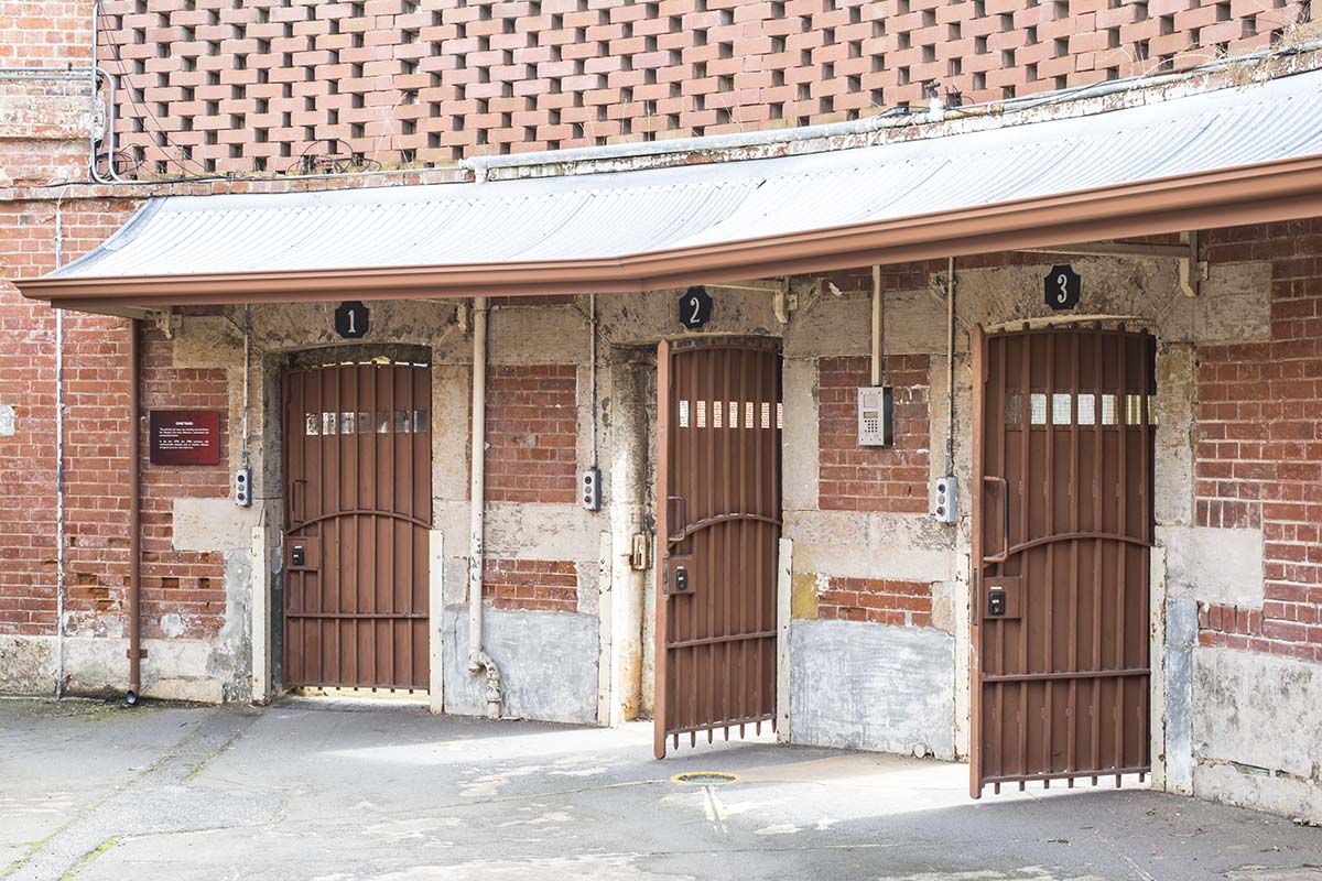 Door Number Three - Elephants and Tea