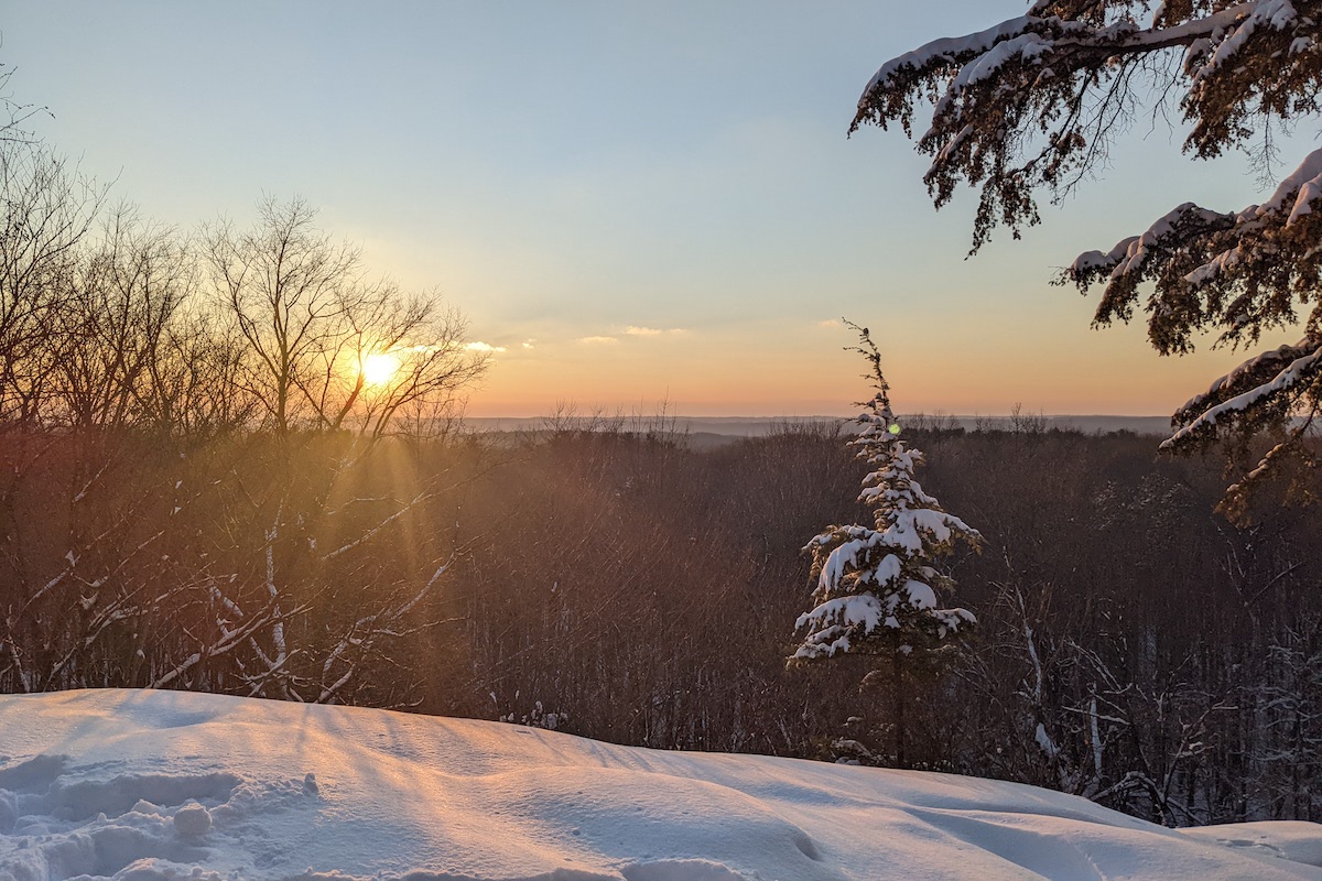 The Overlook - Elephants and Tea