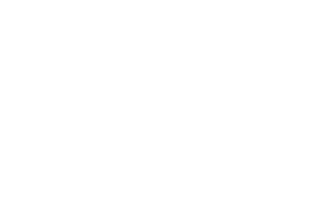 A Conversation About Survivorship - Elephants and Tea