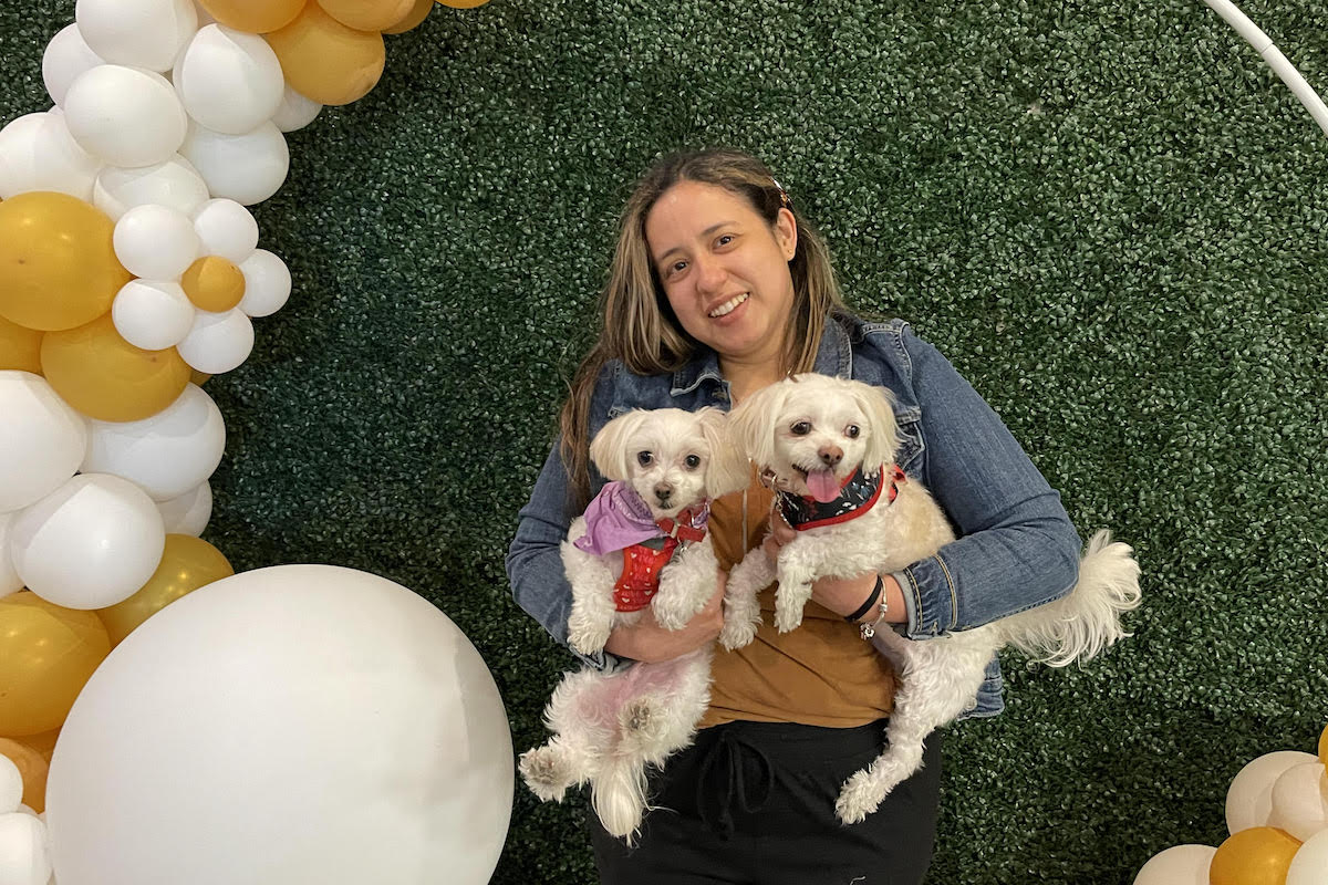 The Invisible Battle - Elephants and Tea