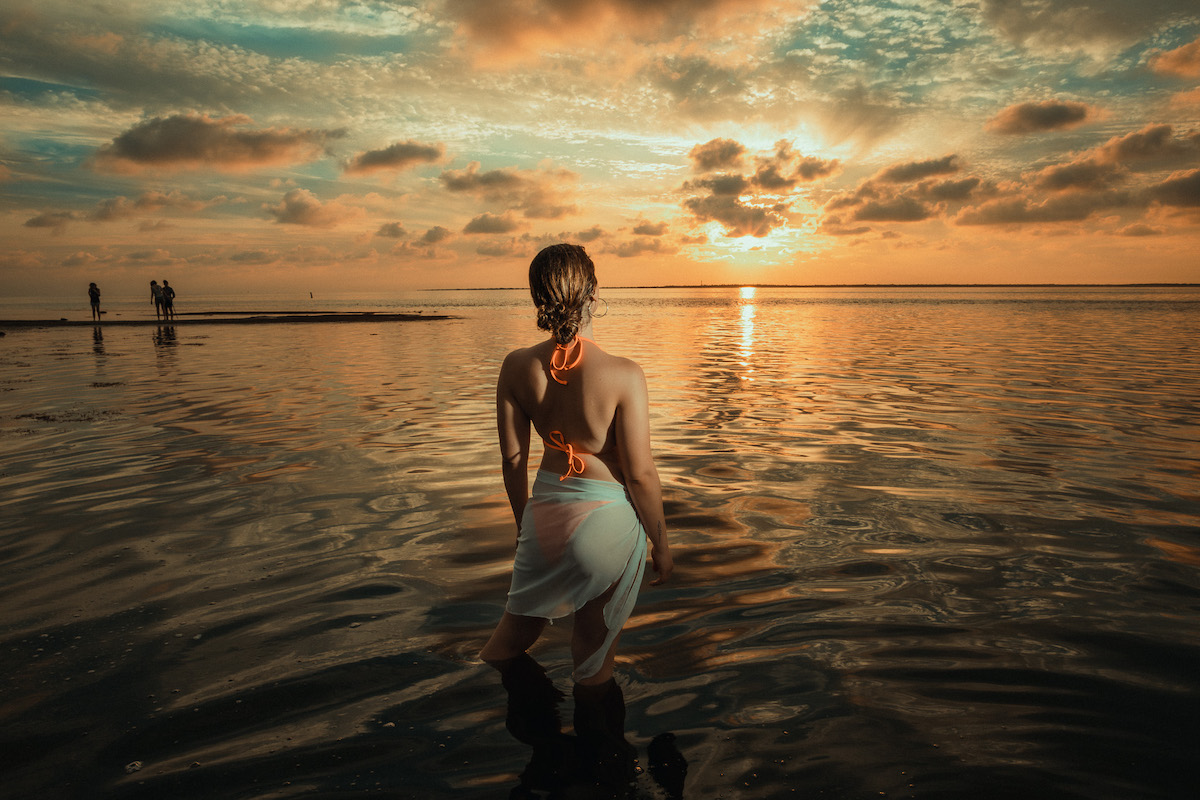 Dear Matt - Elephants and Tea