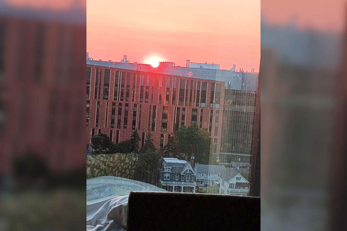 Chemo Bath - Elephants and Tea